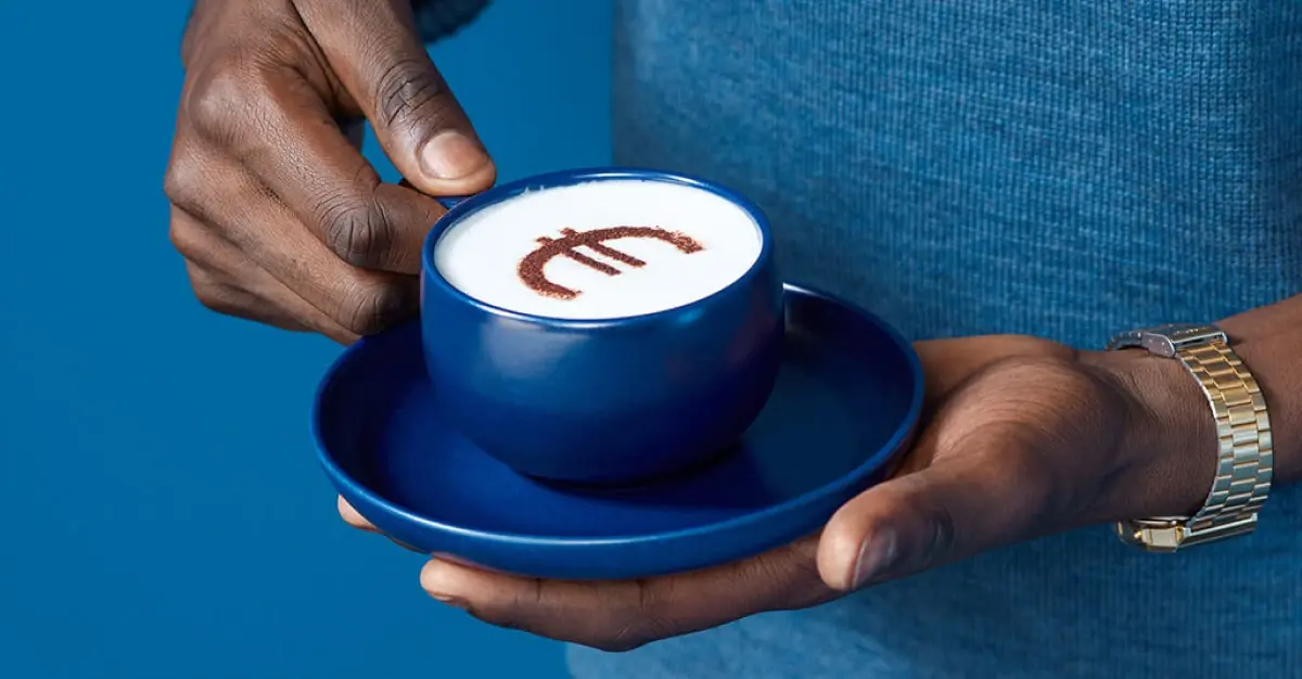 Framna case | Brand New Day